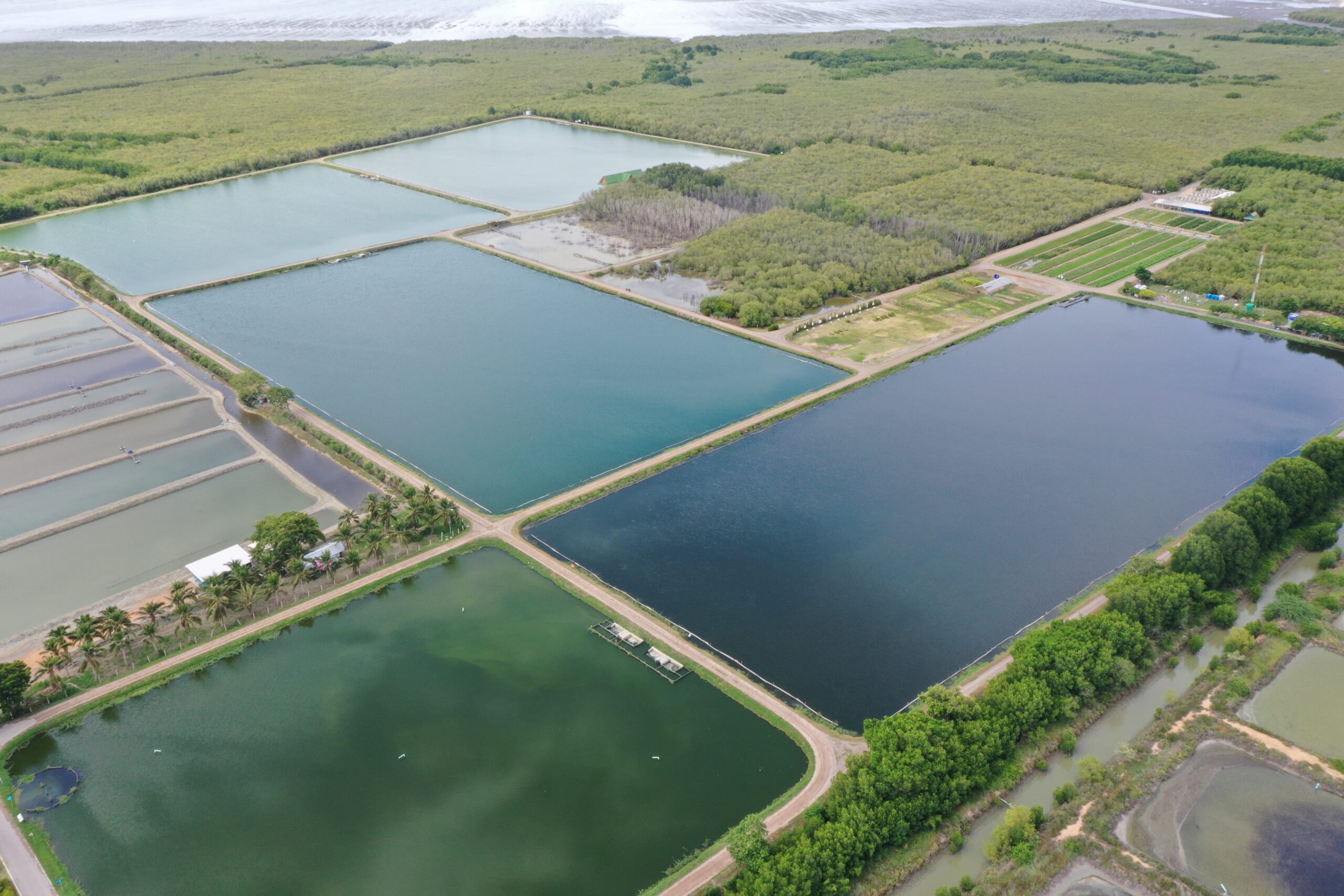 Oxidation Pond System - LERD